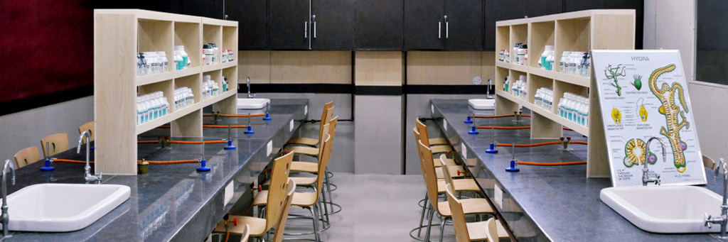 Palladium - Best English Medium School in Hisar | CBSE School in Hisar ...
